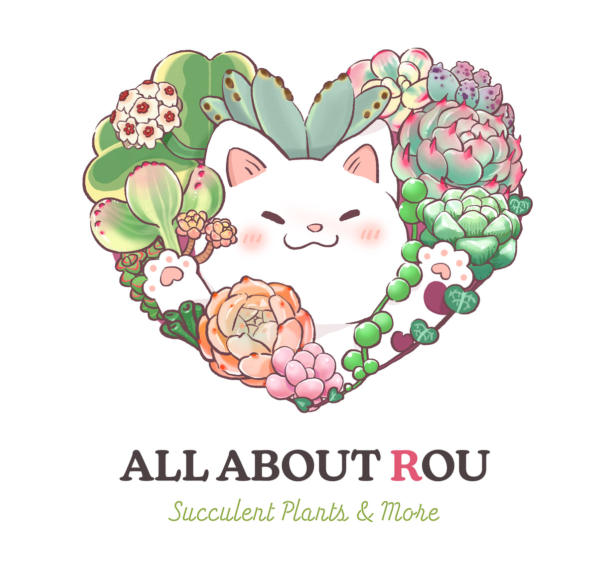 All About Rou Plants